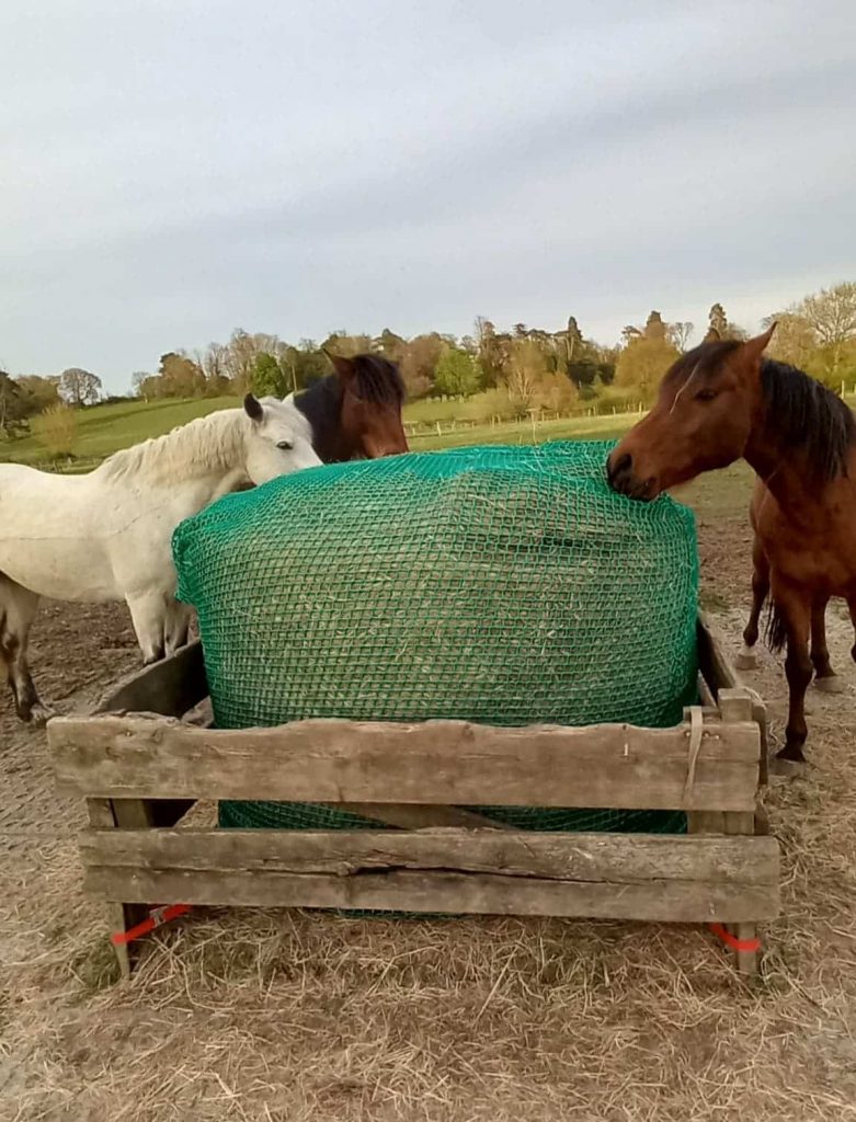 Knotless Round Bale Net 25mm - Nibbleze