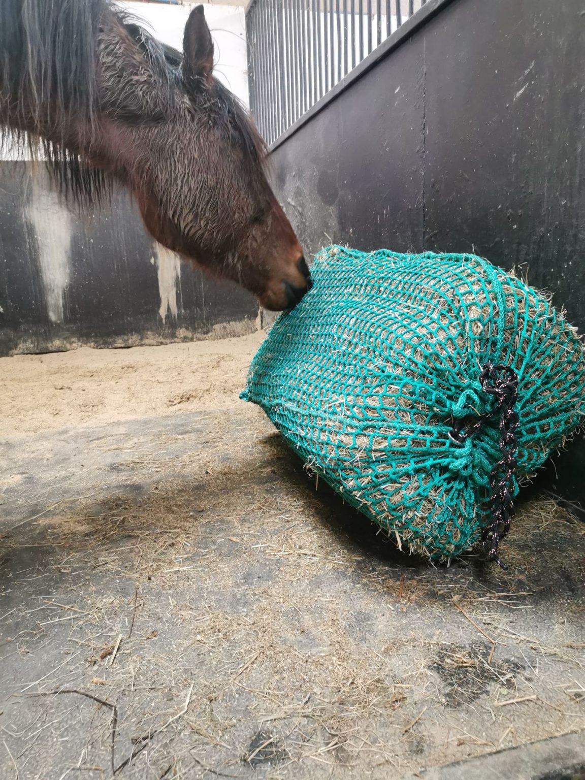 Small bale net - Nibbleze